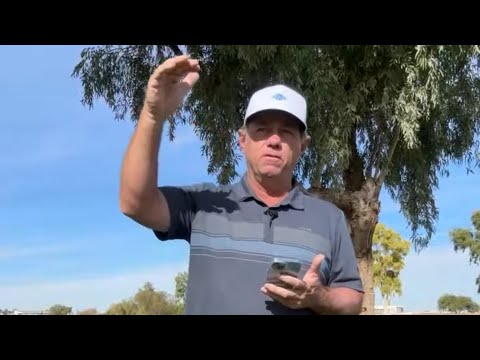 Craig Hocknull Golf WAS LIVE! Q & A plus Reflection on Champions Tour Q ...