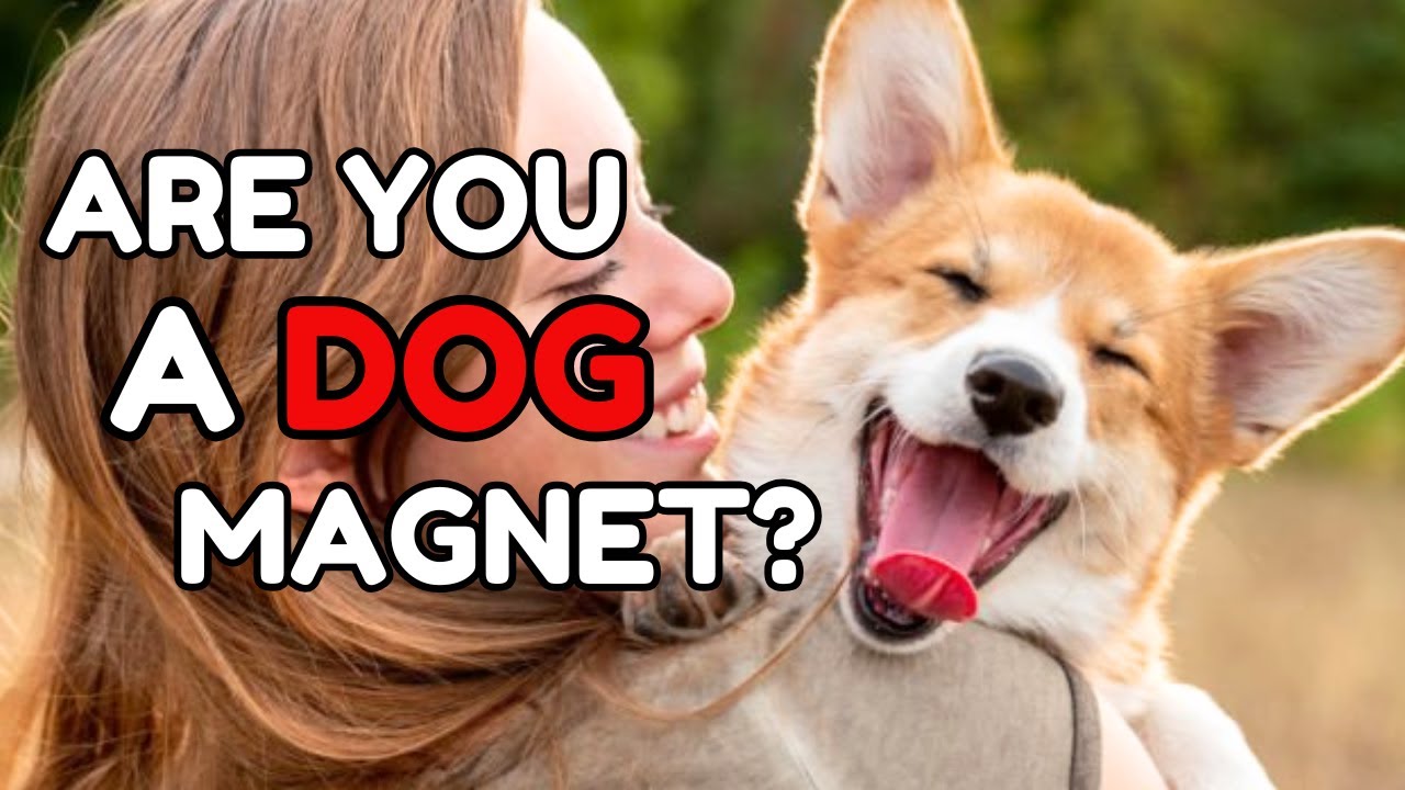 9 Signs You Are Secretly a Dog Magnet 🐶 - YouTube