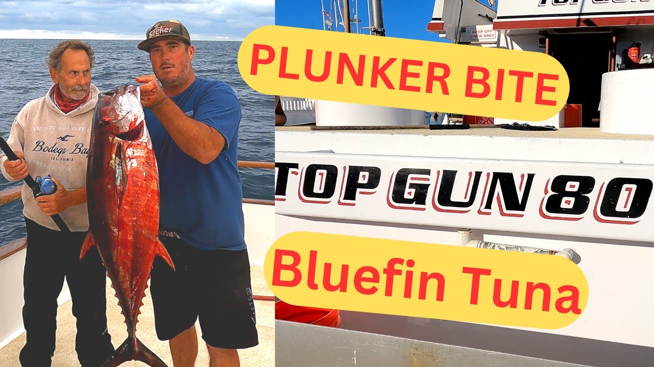Epic Bluefin Tuna Trip TOP GUN 80 Sportfishing San Diego CA 100 ...