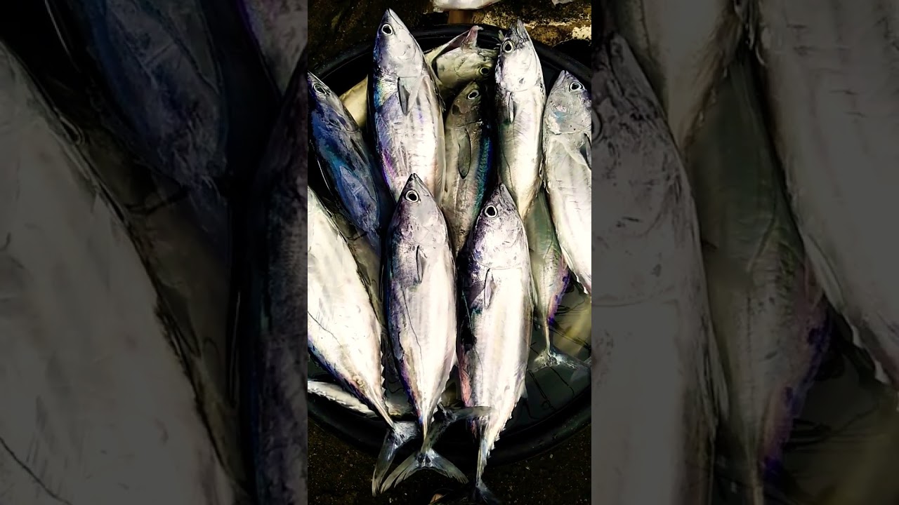 Fresh Bangkulis - YouTube