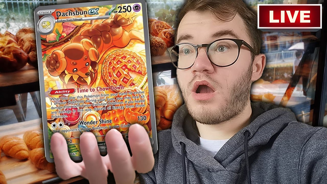 HUNTING FOR THE DOGGO! Stellar Crown OPENING - YouTube