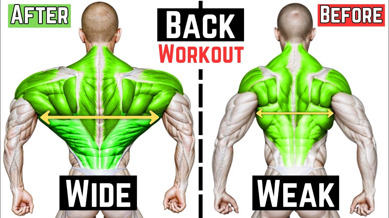 Best Back Workout for Strength and Size | Build Wider Back - YouTube