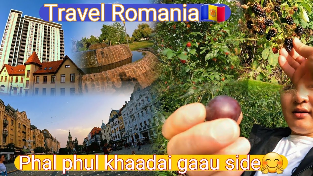 Phal phul khaadai gaau side🤗 || travel Romania🇦🇩 - YouTube