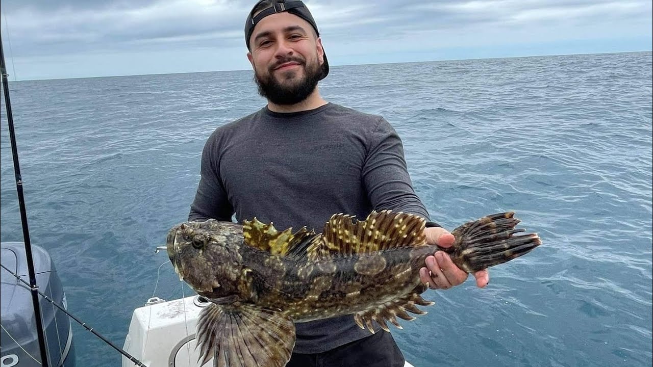 MONSTER Cabezon & Cowcod - Catalina Island Fishing - YouTube