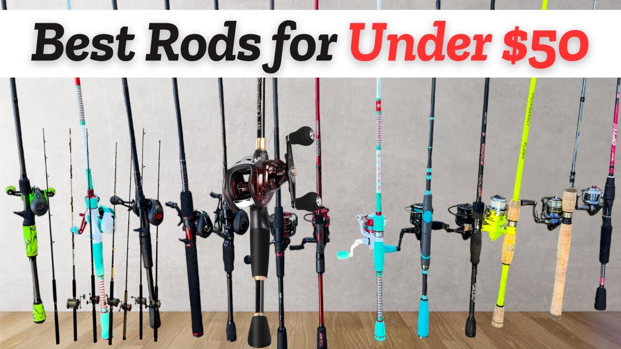 Best Rods for Under $50 - YouTube