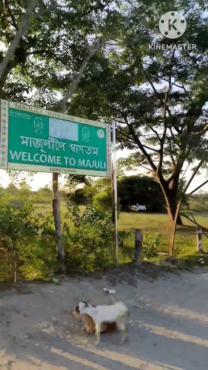 Majuli Mukha hilpo | majuli tourism place #shorts #majuli #majulirakh - YouTube