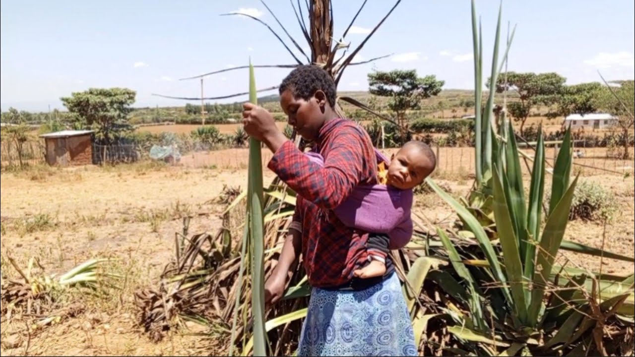 Beyond Survival😲💔!! Empowering the Rural Woman's Voice In The ...