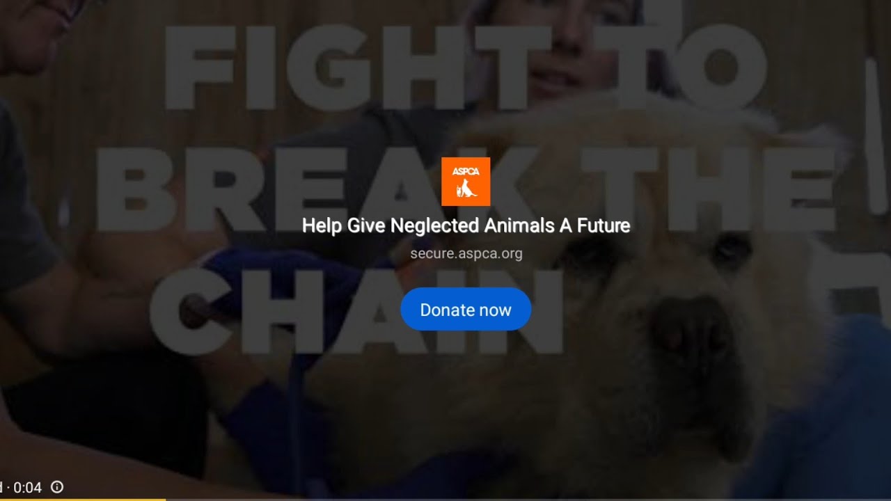 ASPCA AD 1 - YouTube