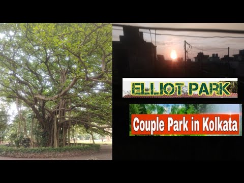Eliot Park Kolkata👩‍ ️‍👨শীতের মরশুমে ঘুরে আসুন || Kolkata Elliott park ...