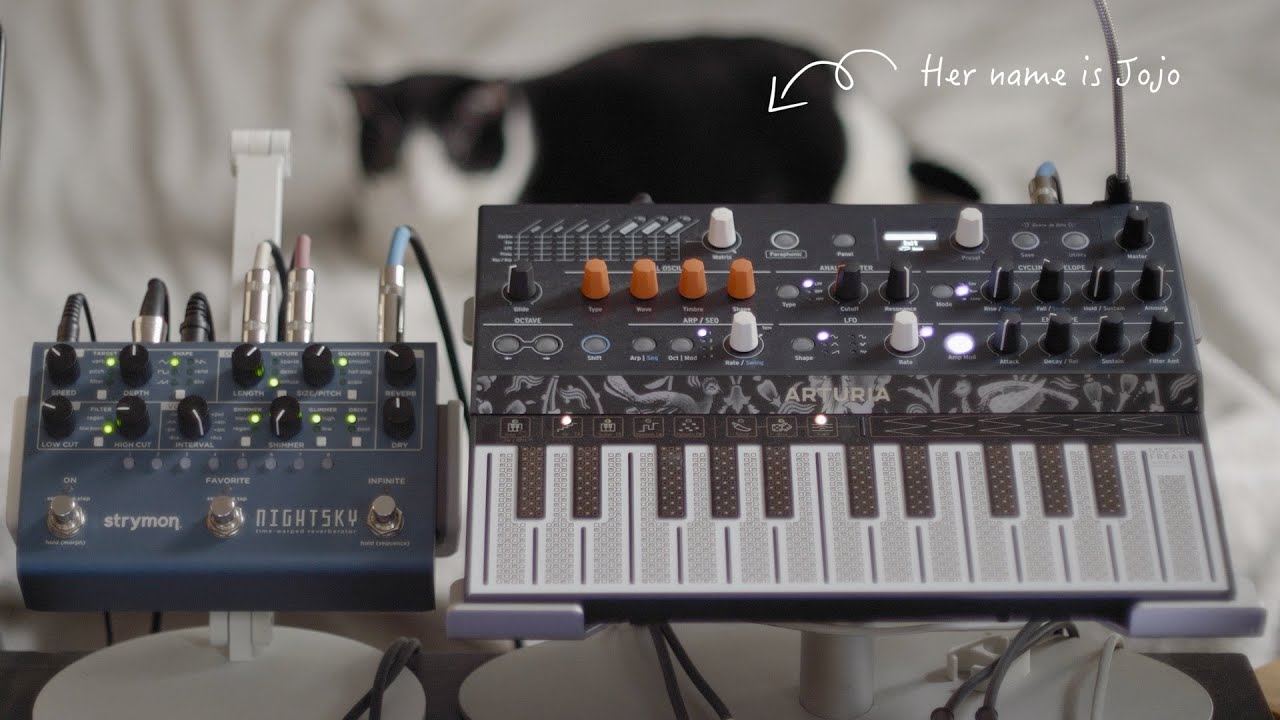 Arturia MicroFreak v.40 Firmware + Strymon NightSky: Wavetable Synth ...