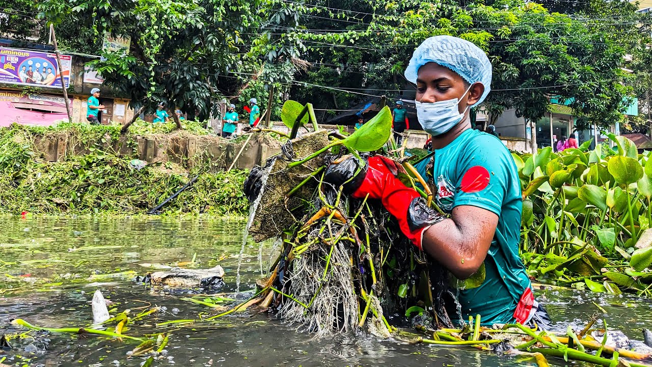 Let’s Keep Our Surroundings Clean with BD Clean || BD Clean - Manikganj || Pourashava Khal ...