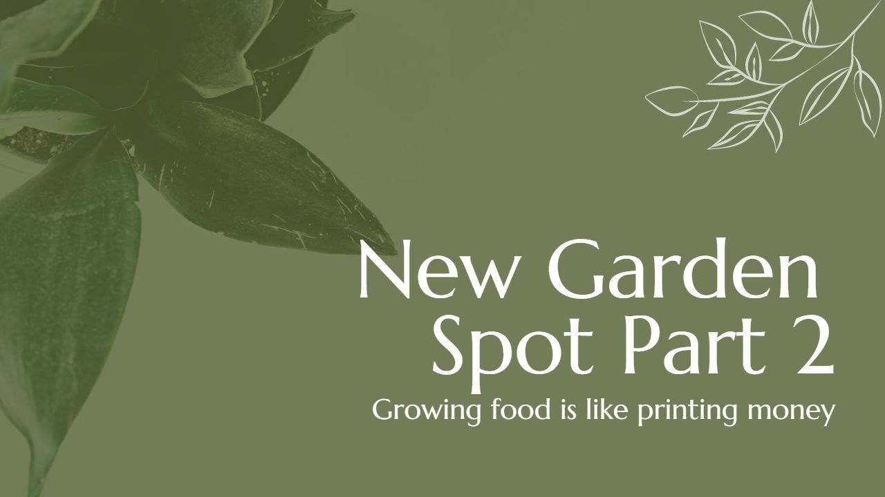 New garden spot part 2 - YouTube