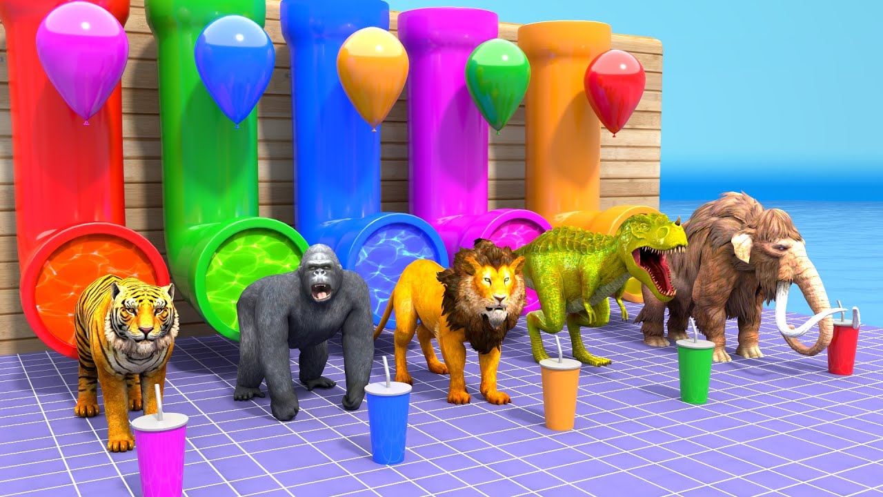 Long Slide Game With Elephant Gorilla Tiger Lion T-Rex Wild animal game ...