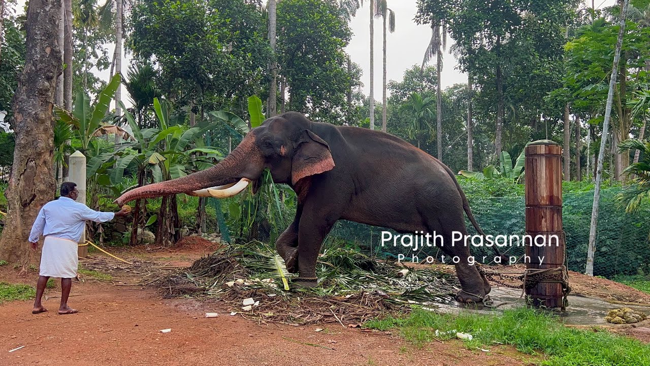 Chaithram Achu - YouTube