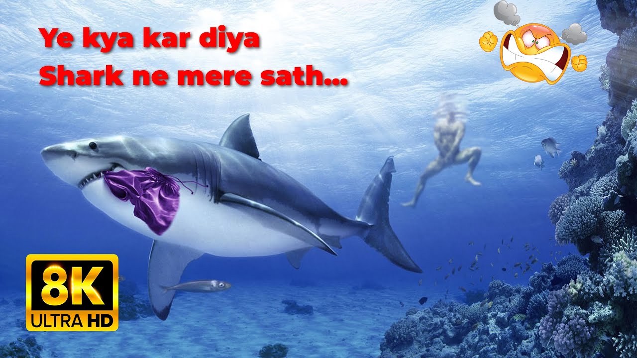 Ye kya kar diya shark ne mere sath 😱 | hungry shark | शार्कने हे काय ...