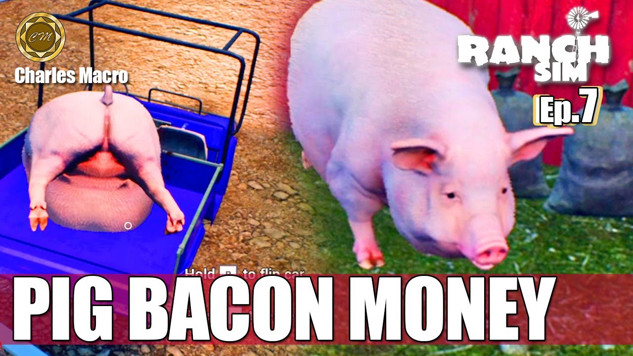 MAKING THAT PIG BACON MONEY | RANCH SIMULATOR | Ep. 7 - YouTube