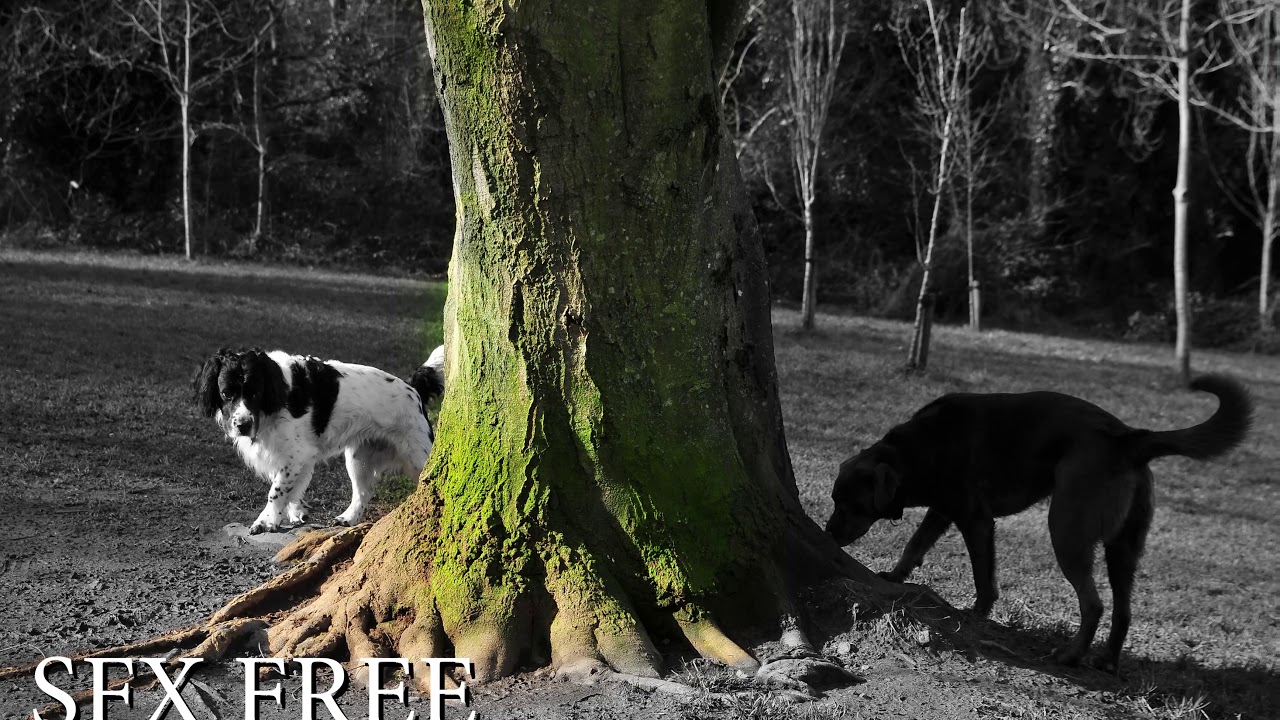 world war 2 (ww2) battle non copyright sound effects - YouTube