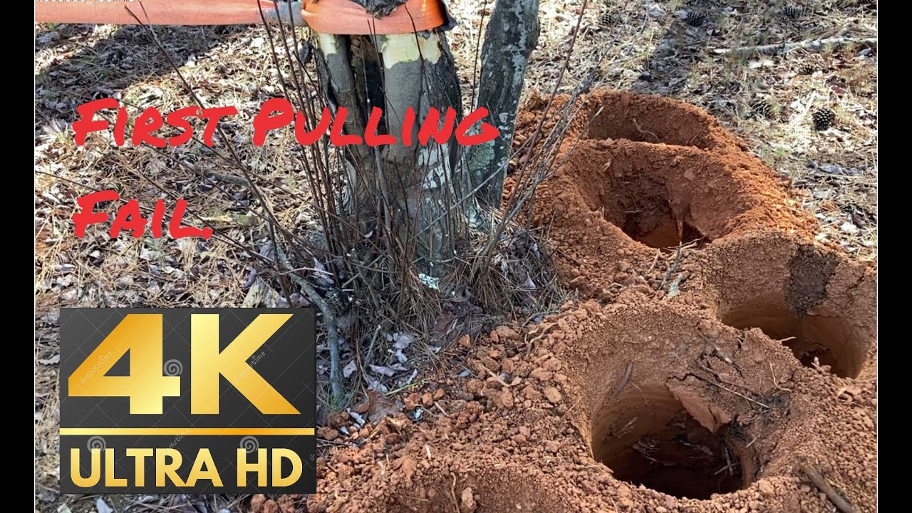 #12 Stump/Tree Pulling FAIL with snatch block pulleys 5:1 Mechanical ...