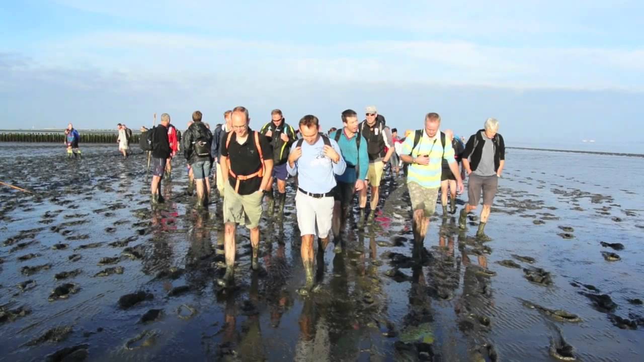 Wadlopen 2013 - YouTube