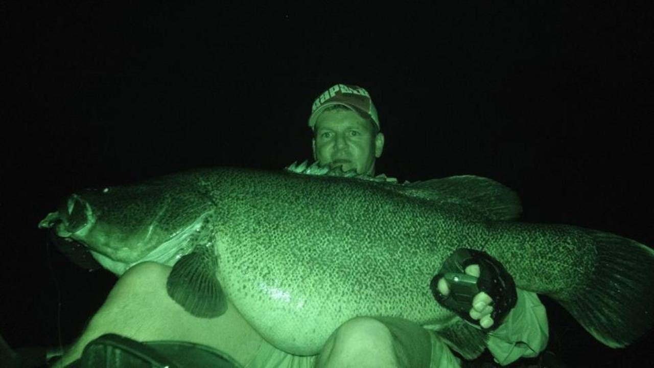 Attack of the Giant Murray Cod - ABC Radio - YouTube