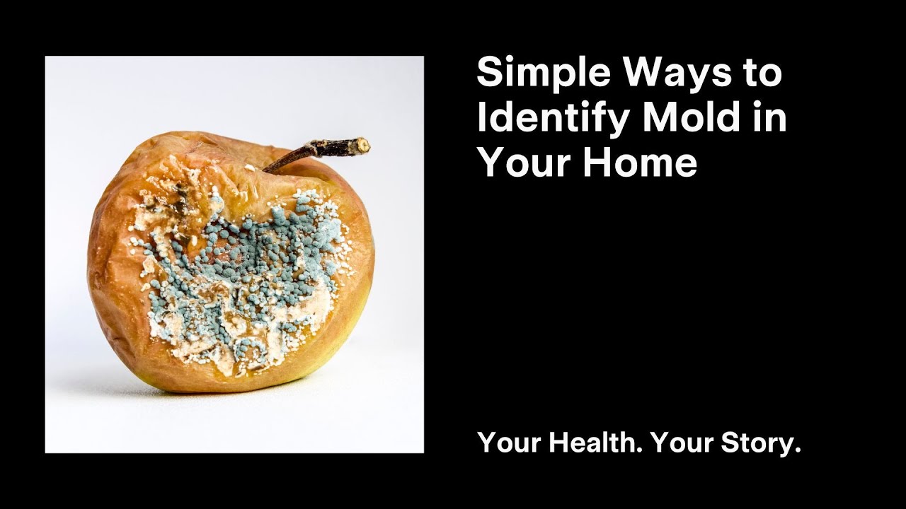 Simple Ways to Identify Mold in Your Home - YouTube