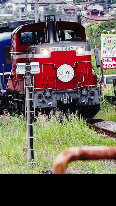 【DLぐんま5fin】本編動画↑カーブを曲がり 安中駅に滑り込む EL/DLのファイナル運転 DD51 842＋12系客車＋EF64 1001 2024年10月6日 # shorts #鉄道 ...