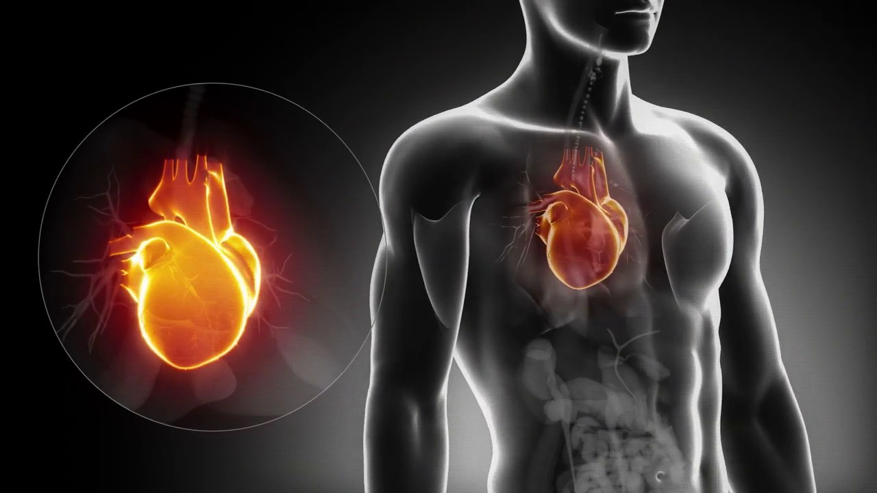 Cardio Visual TVC - YouTube