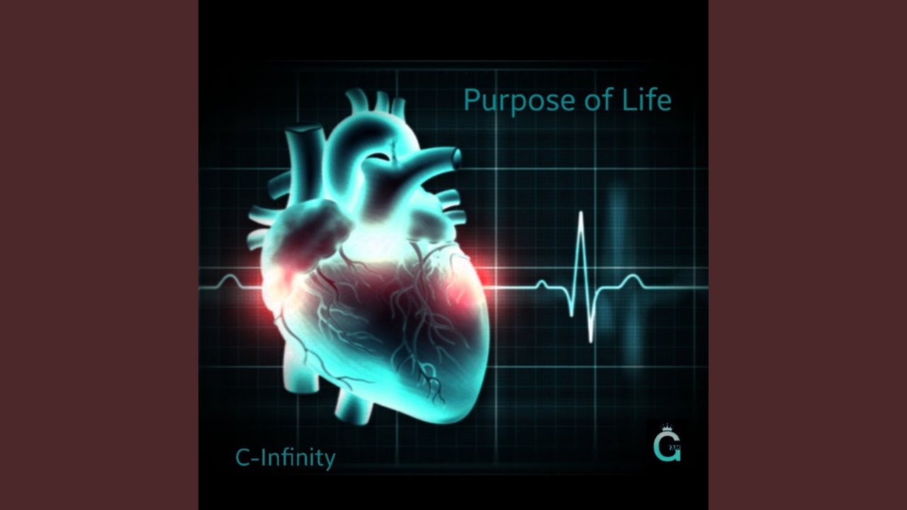 Purpose Of Life YouTube purpose-of-life-youtube