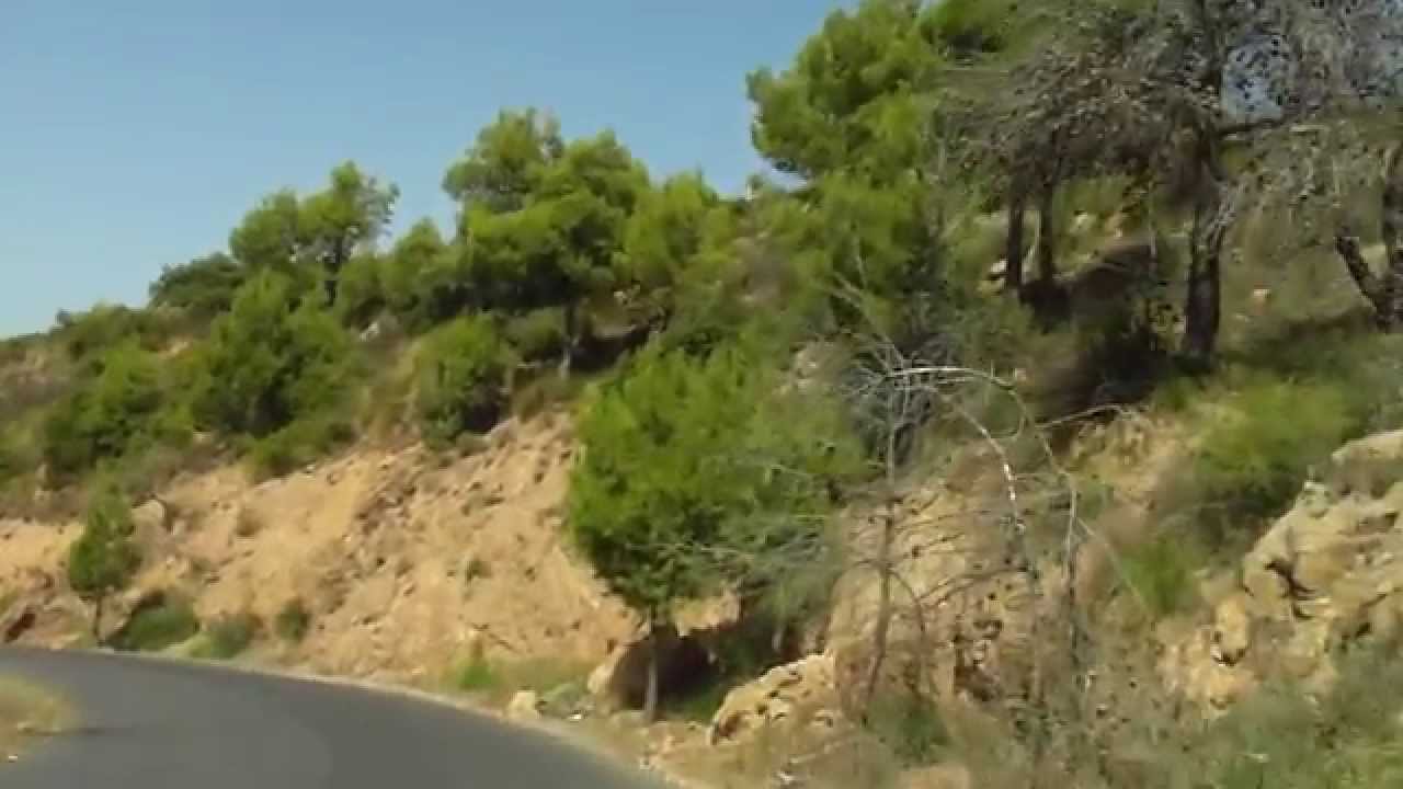 PALESTRO(boukram)ALGERIE SEPT 2013 - YouTube