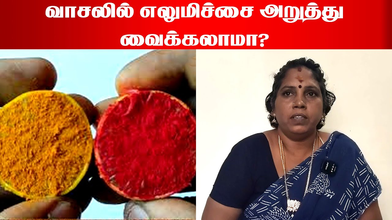 வாசலில் எலுமிச்சை அறுத்து வைக்கலாமா? | Lemon | Drishti | Will B Channel ...