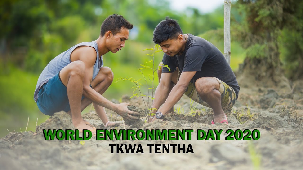 WORLD ENVIRONMENT DAY 2020 || TENTHA TKWA ||DFO THOUBAL - YouTube