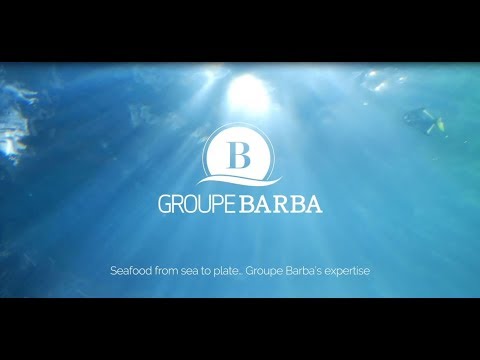 Groupe Barba's Expertise - YouTube