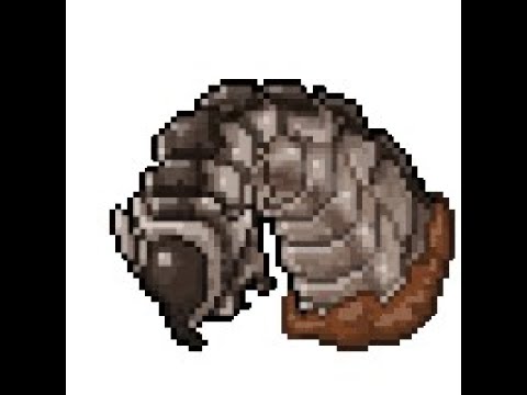 The Pale Worm - Tibia - YouTube