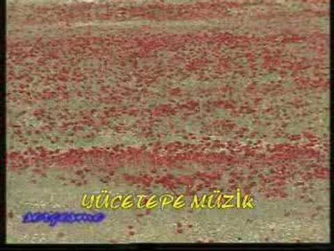 ERDAL MERDAN YALAN DÜNYA-YÜCETEPE MÜZİK