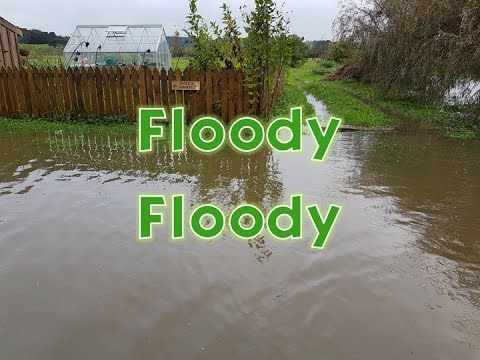 Floody Floody - YouTube