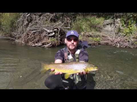 Manawatu Small Stream Fly Fishing New Zealand. - YouTube