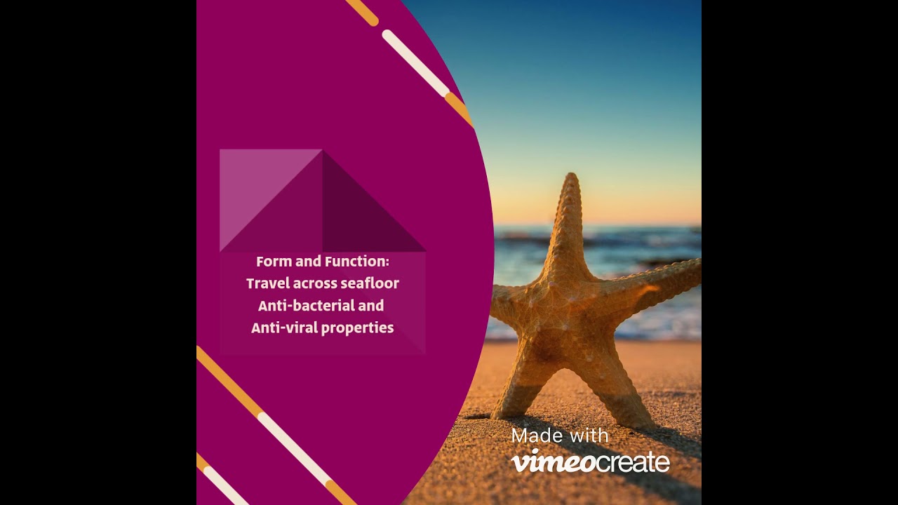 Starfish - Science project - YouTube