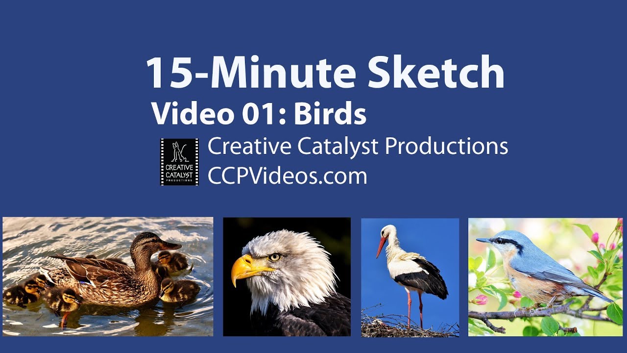 15-Minute Sketch: Birds - YouTube
