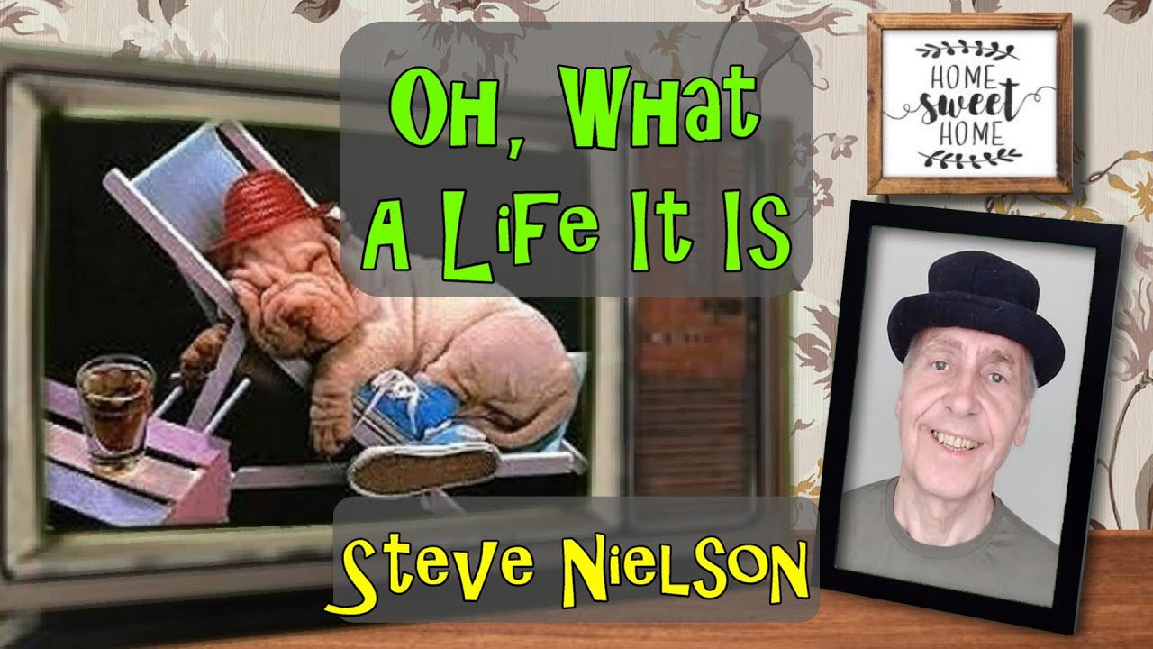 ORIGINAL SONG Oh What A Life It Is MUSIC VIDEO featuring Steve Nielson ...