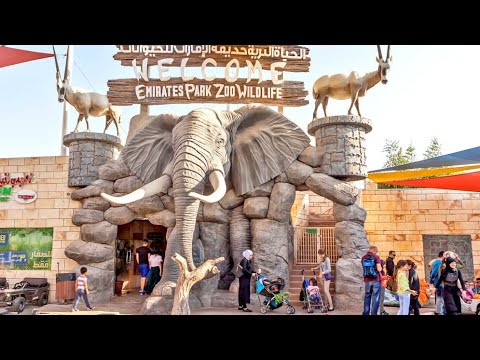 AL Ain Zoo (In HD) 🐅II Abu 🔥Dhabi II UAE Zoo) 😱alainzoo #animal #uae ...