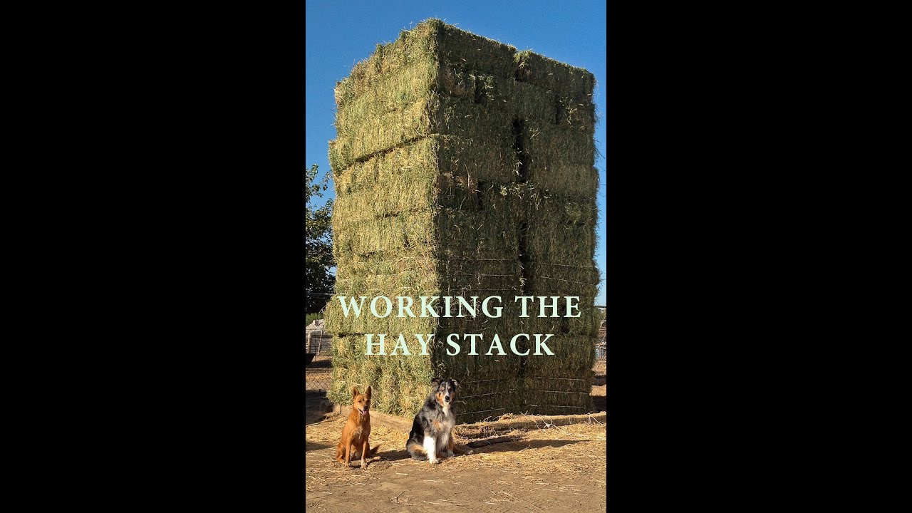 Working the Hay Stack - YouTube