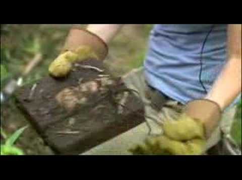 "Lockjaw - Rise of the Kulev Serpent" trailer - YouTube