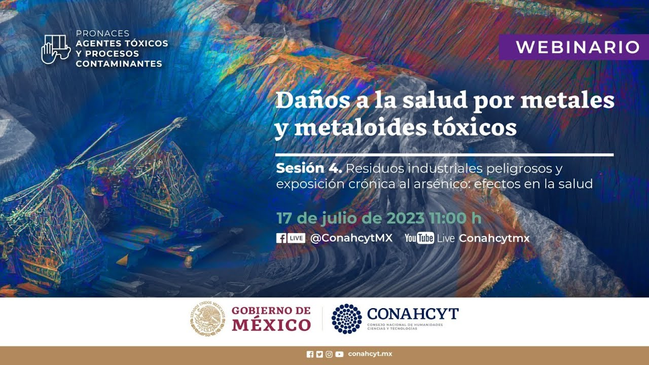 Daños a la salud por metales y metaloides tóxicos. Sesión 4 - YouTube