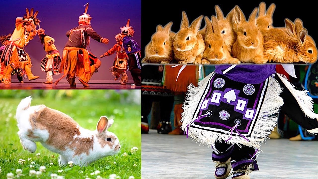 Iroquois Rabbit Dance Denver Art Museum's Summer Dance Exhibits Are A