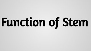 Function of stem#jtacademy #planttaxonomy #function #stem