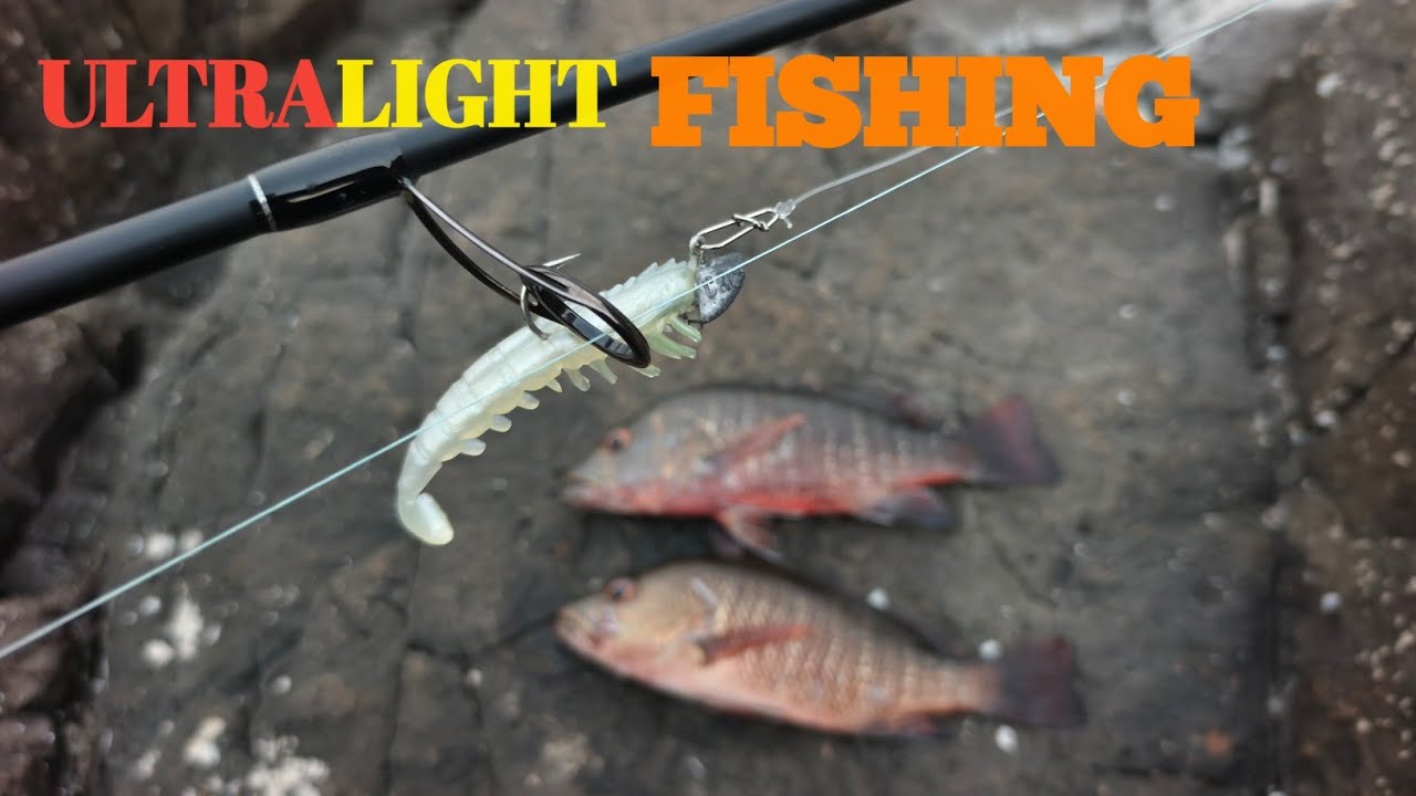 ULTRA LIGHT ROD FISHING @Sea_Monsters_Vaibhav - YouTube