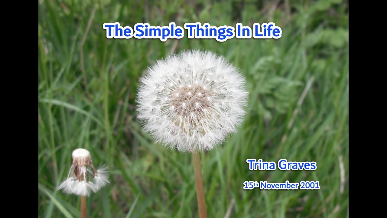 The Simple Things In Life – Family Poem - YouTube