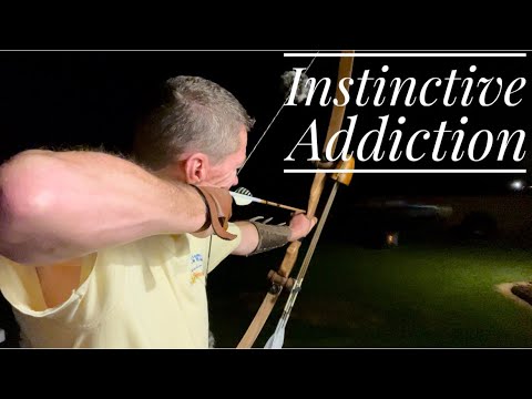 Instinctive Shooting Maintenance And How To Tips For Extreme Accuracy ...