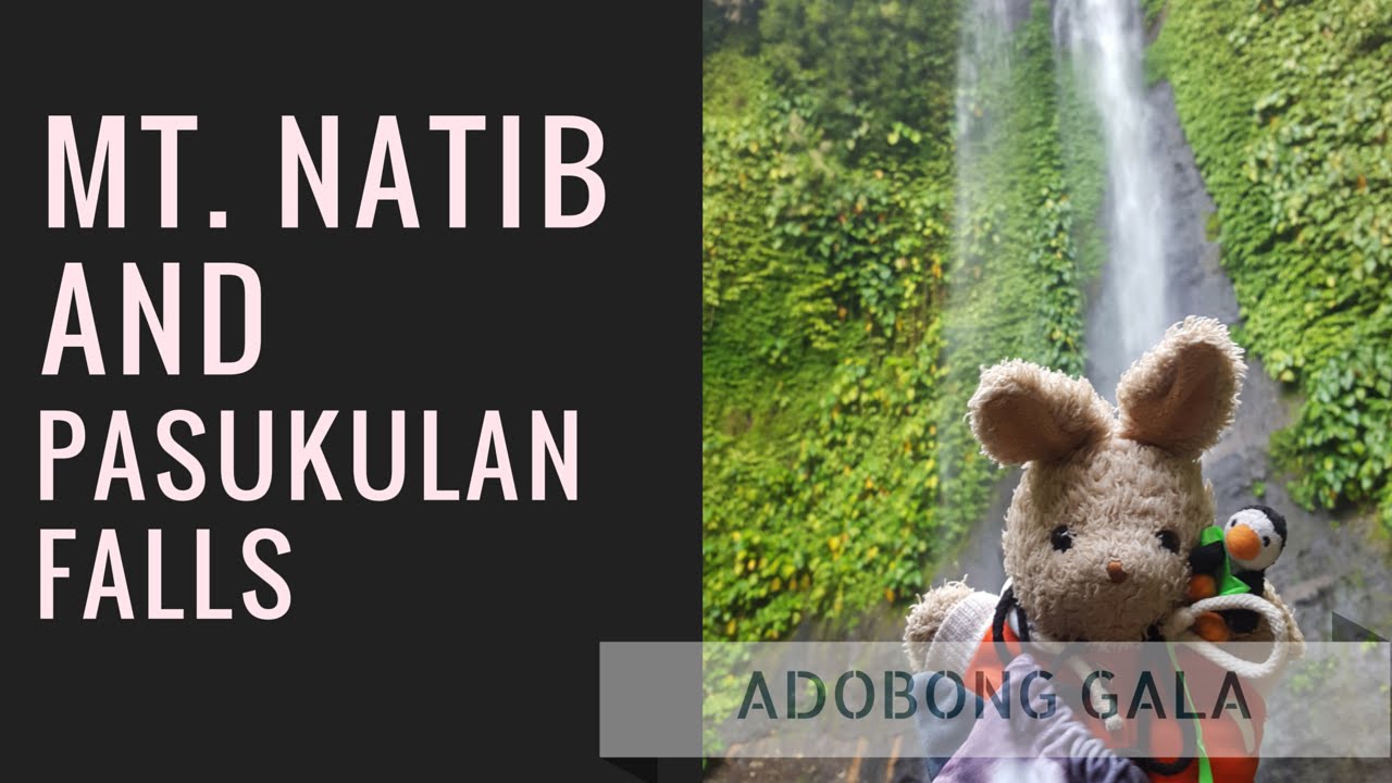 Mt Natib and Pasukulan Falls | Adobong Gala - YouTube