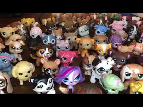 ‪Getting work done!‬ ‪ Pricing many of our #mylittlestpetshop #LPS @hasbro #toys that I had stored